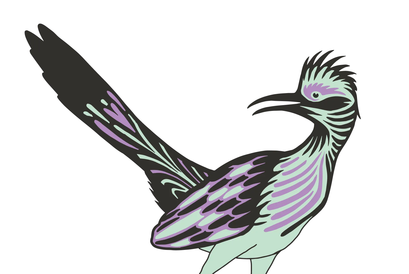 Play Pickleball In Austin | Austin Pickle Ranch