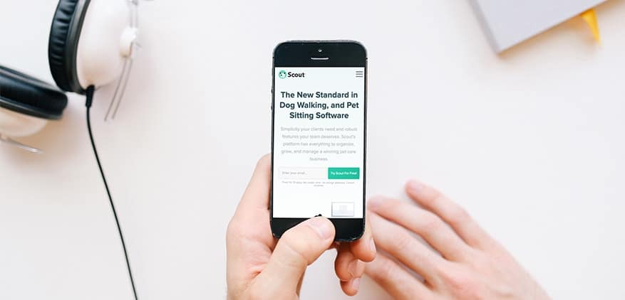 Review: Modern Dog Walking Software | Scout