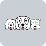 #1 Rated Dog Walking Software | Scout