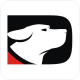 #1 Rated Dog Walking Software | Scout