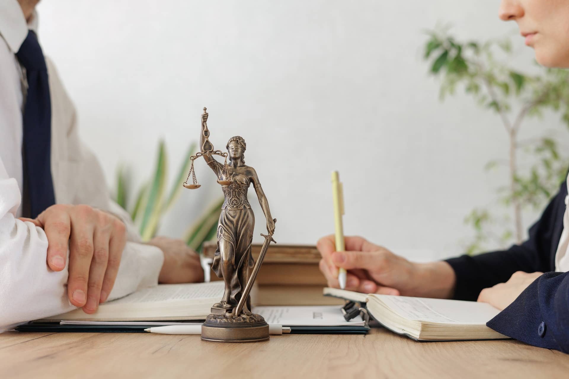 Beyond the Verdict: Winning the Battle of Judgment Collection | Final ...