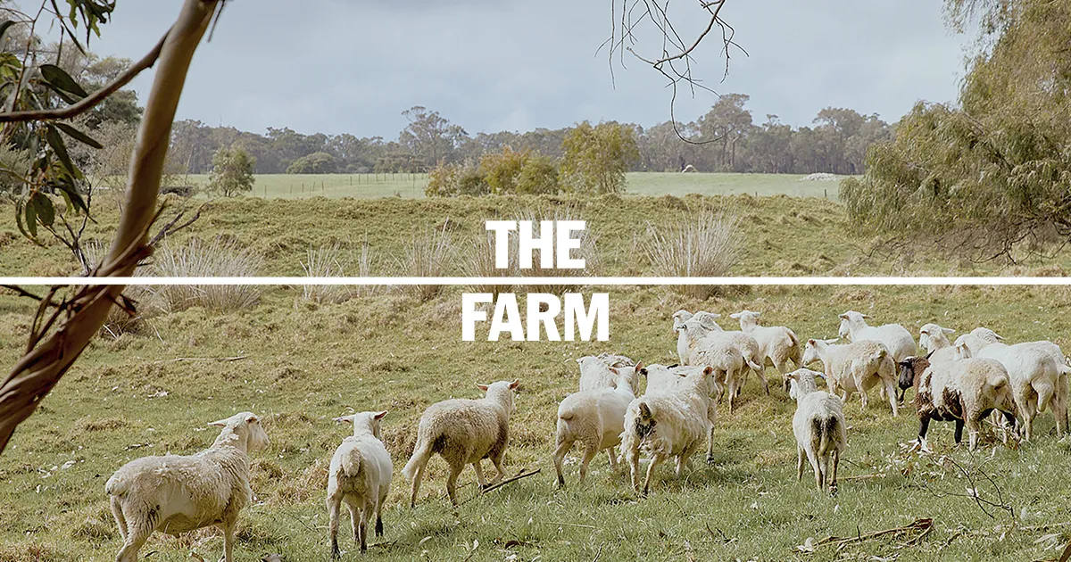 About | The Farm