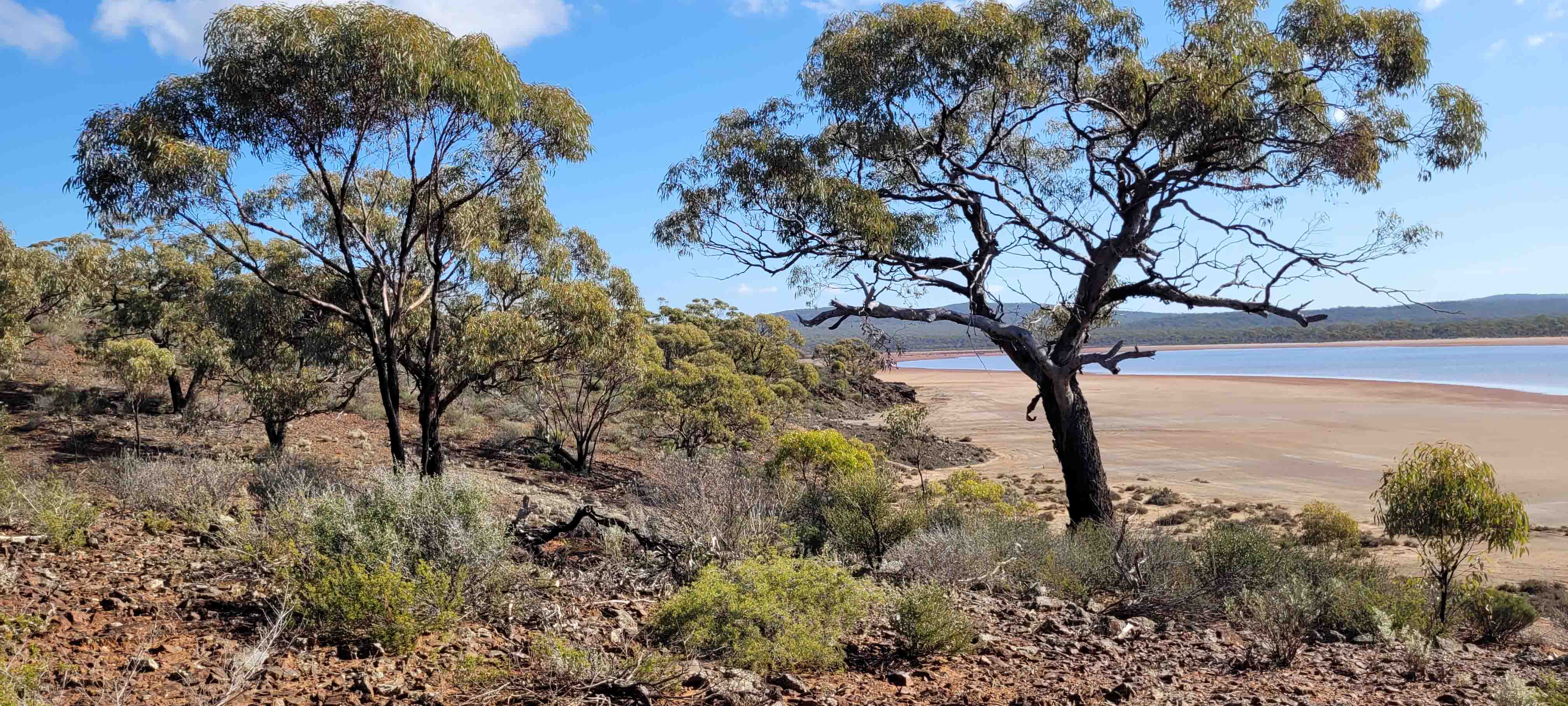 The Ngadju Native Aboriginal Title Corporation
