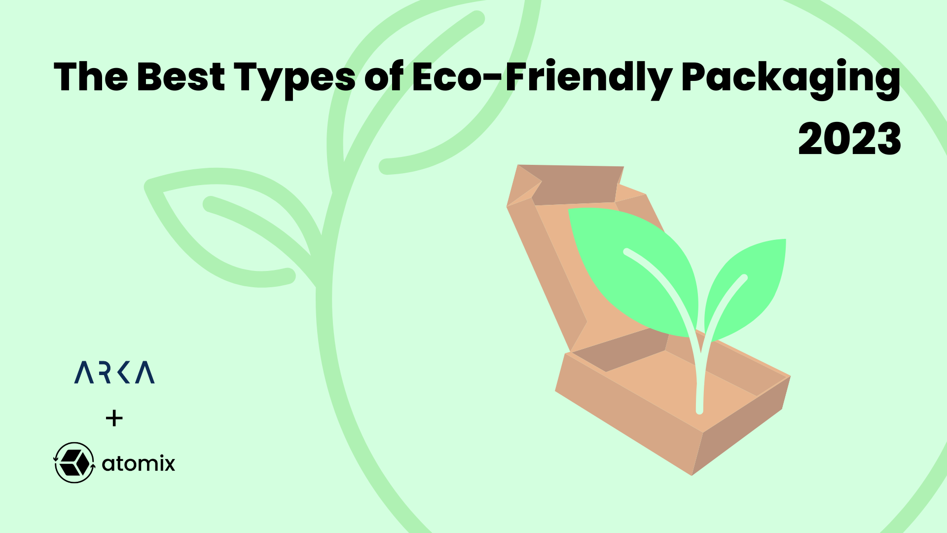 Which Types of Eco-Friendly Packages Are Best for Businesses?