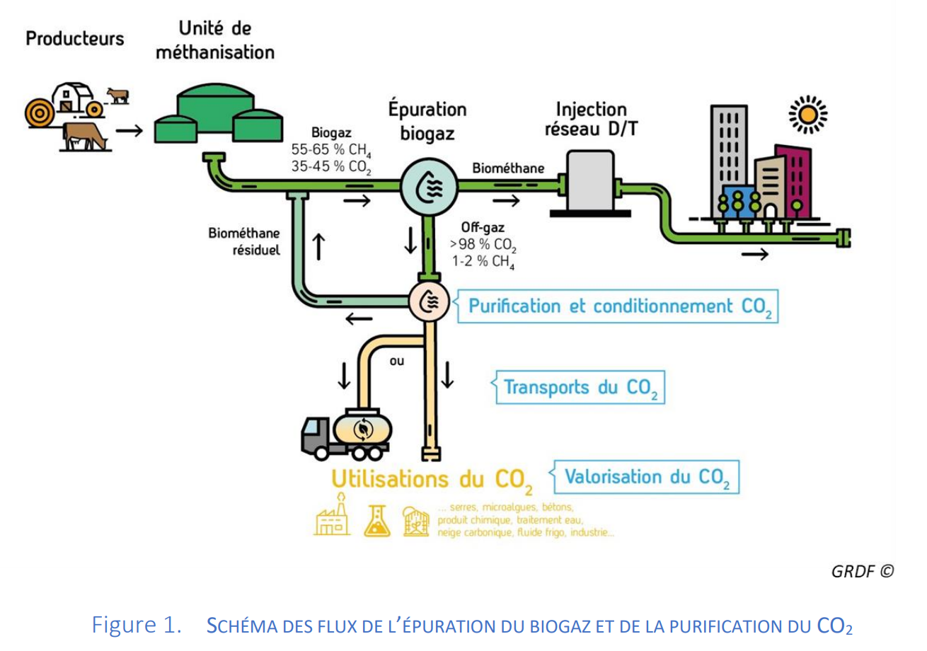 How to understand Biogas in 5 minutes! | Riverse