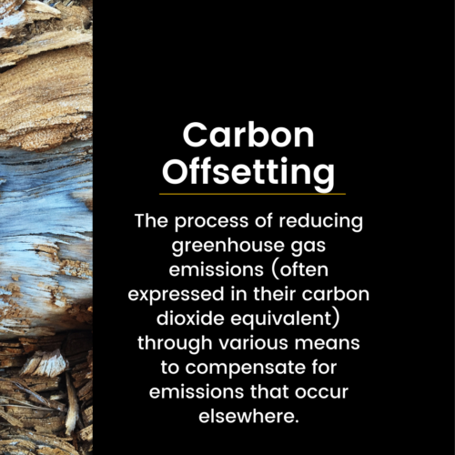 Carbon offsetting: what to consider when choosing your carbon reduction ...