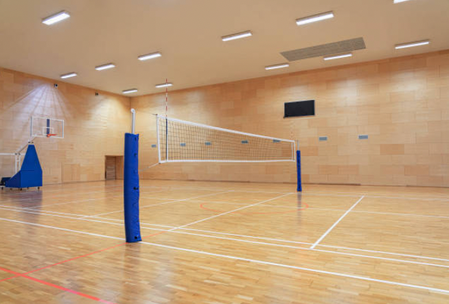 Creating the Perfect Volleyball Court: A Step-by-Step Guide - Javelin ...