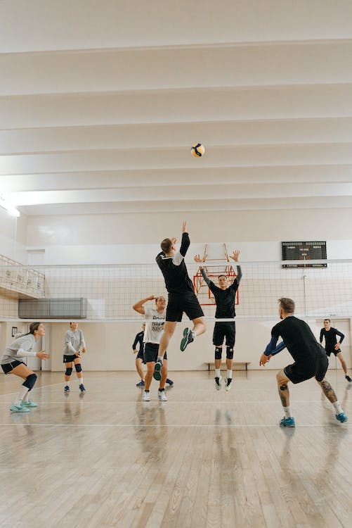 Volleyball 6-Back Formation: Understanding Player Positions - Javelin ...