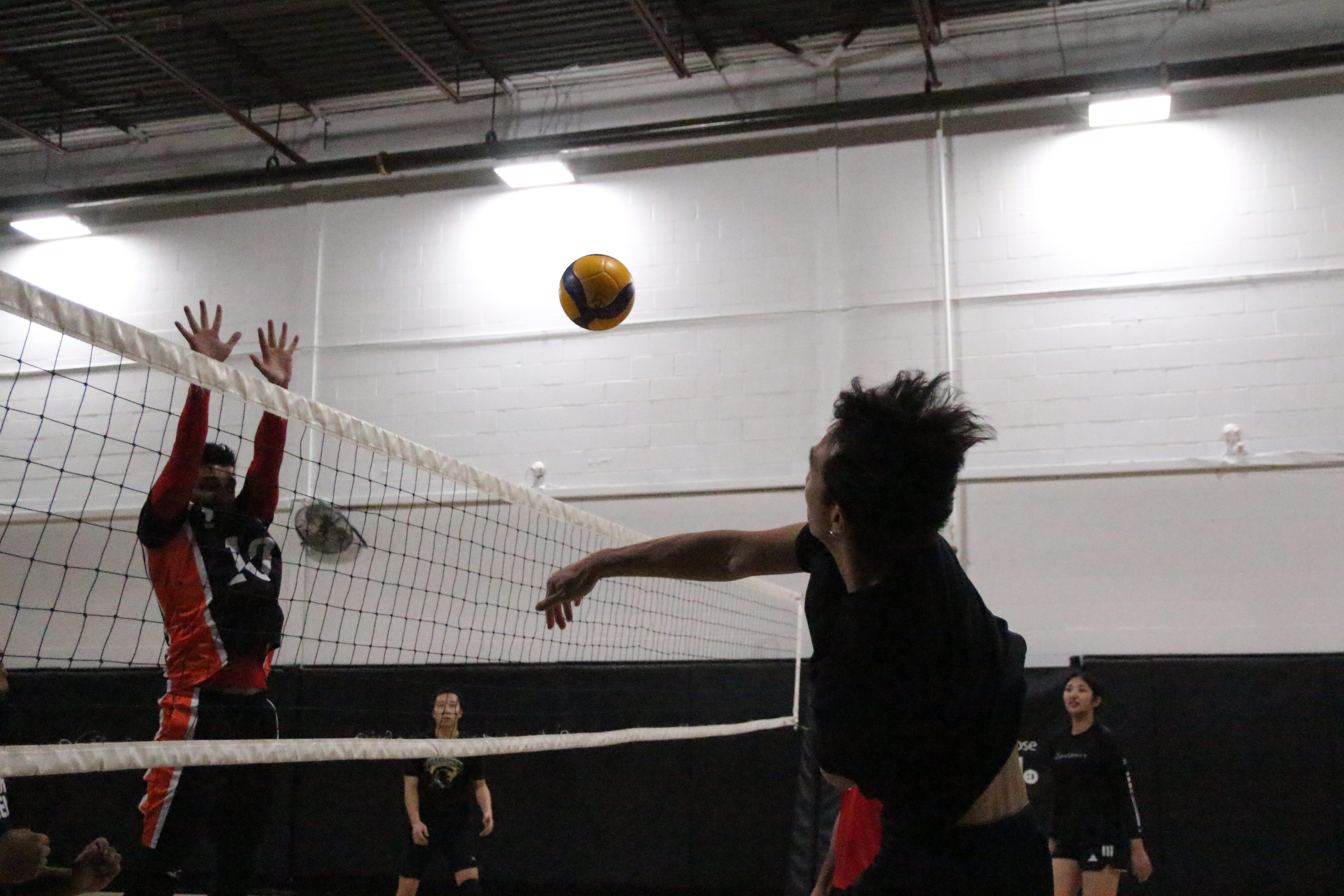 The Importance of Understanding Volleyball Systems - Javelin Sports
