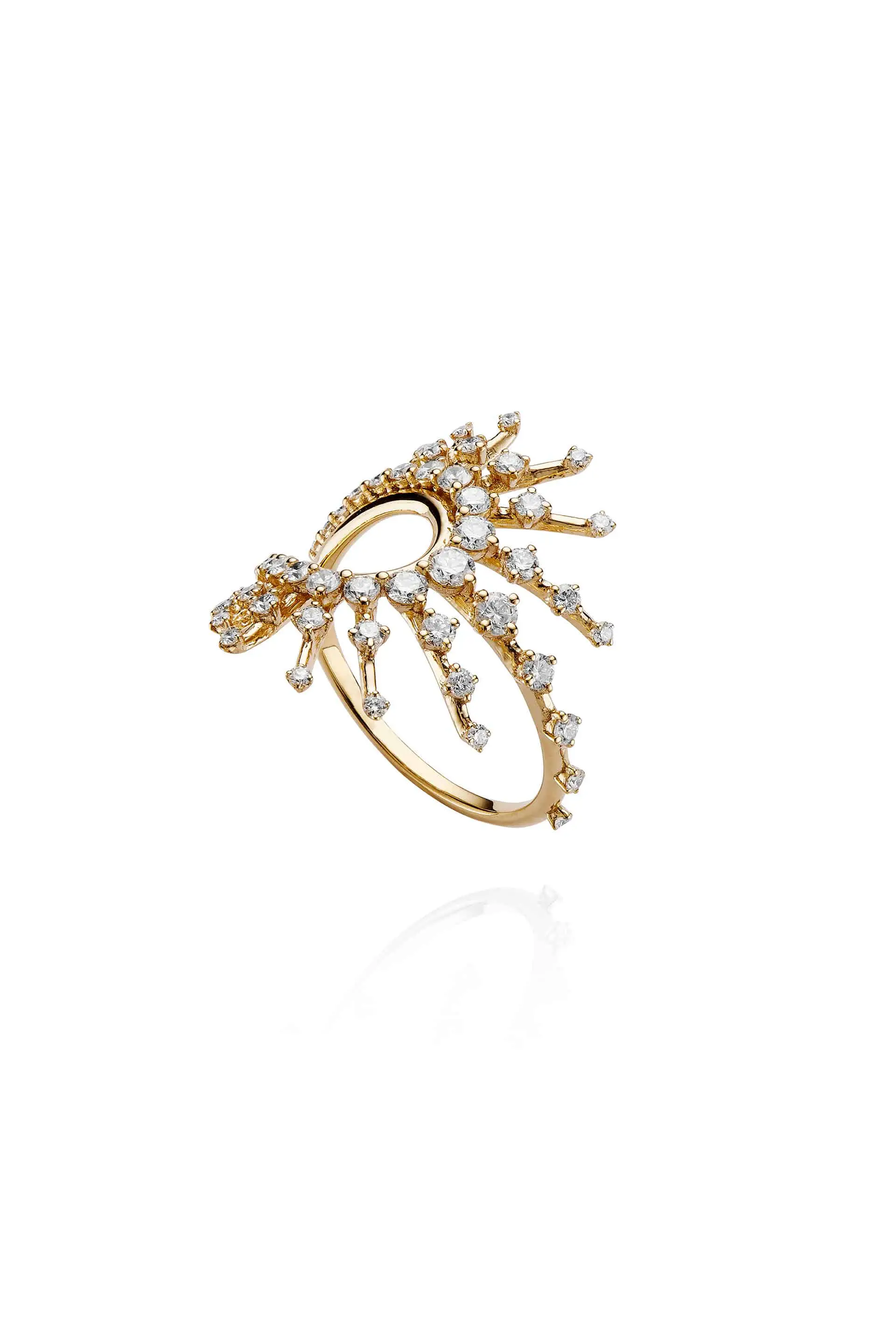 Limelight Nova | Fernando Jorge | Clarity Ring