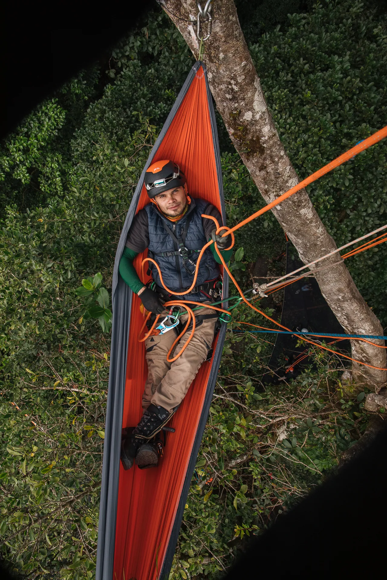 Savia Forest Immersion