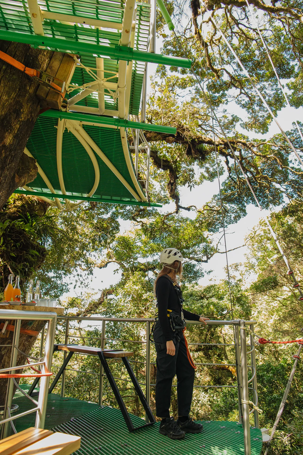 Savia Forest Immersion