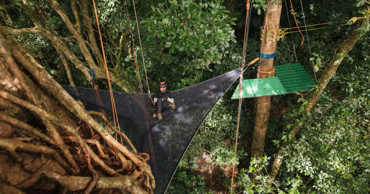 Savia Forest Immersion