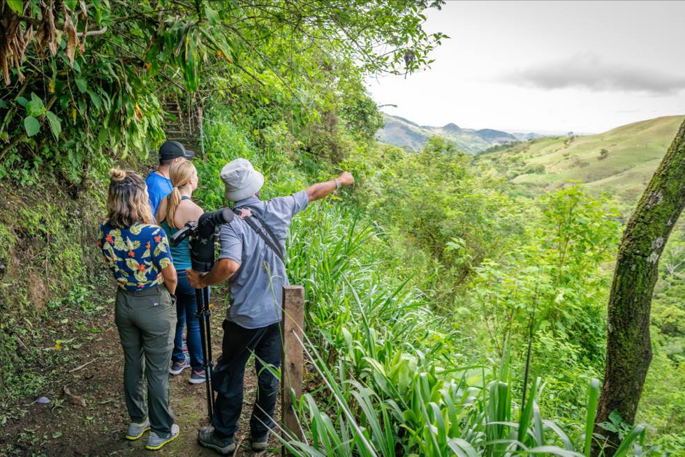 Hotel Belmar | Blog: Monteverde Birding Season is here