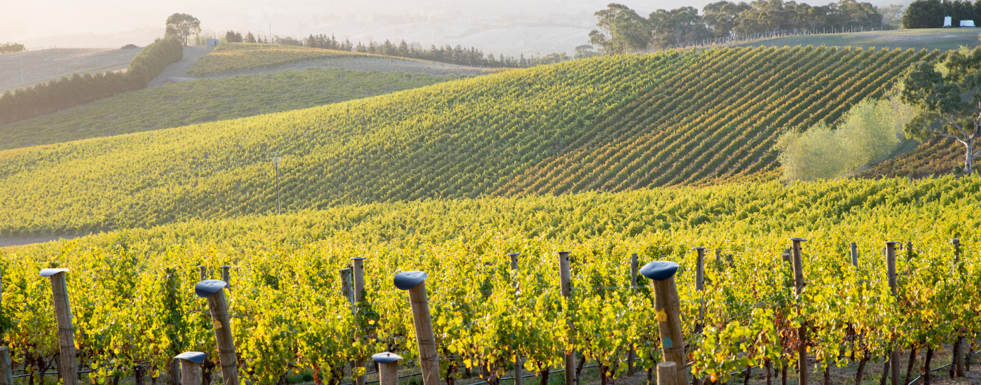 ACCU Market Monthly Report - February 2024 | CORE Markets