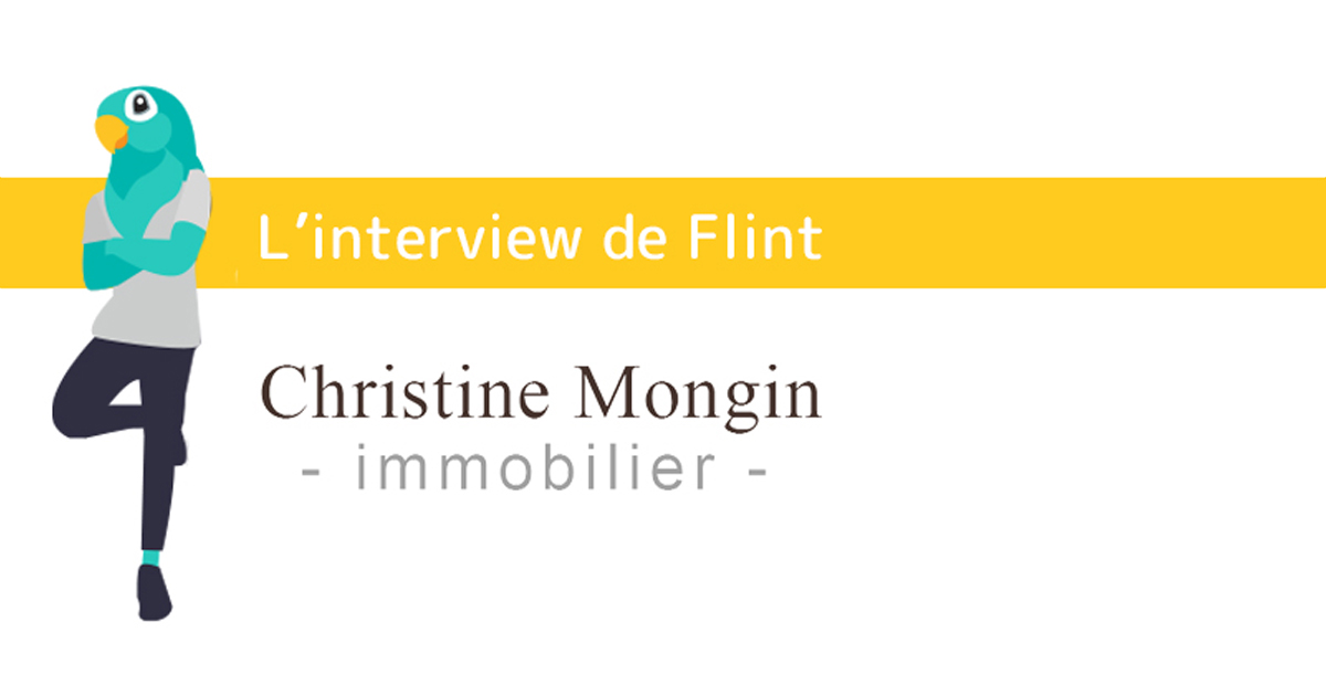 Agence Christine Mongin | Guides Goflint