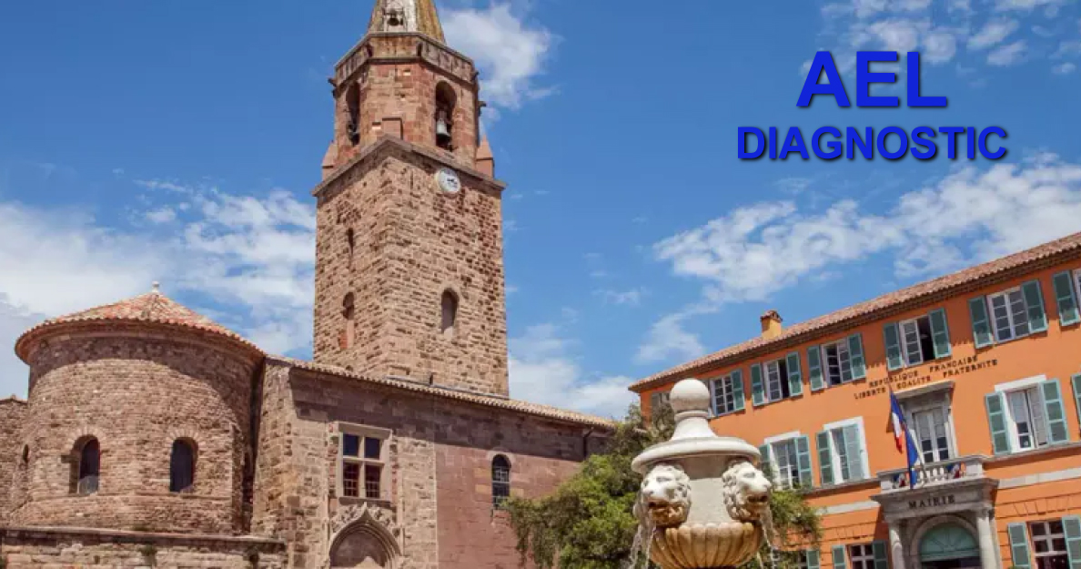 AEL Diagnostic | Partenaire Goflint