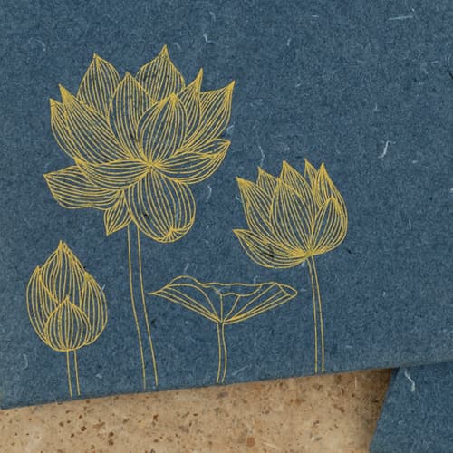 mCube Project - Nirja Maniar