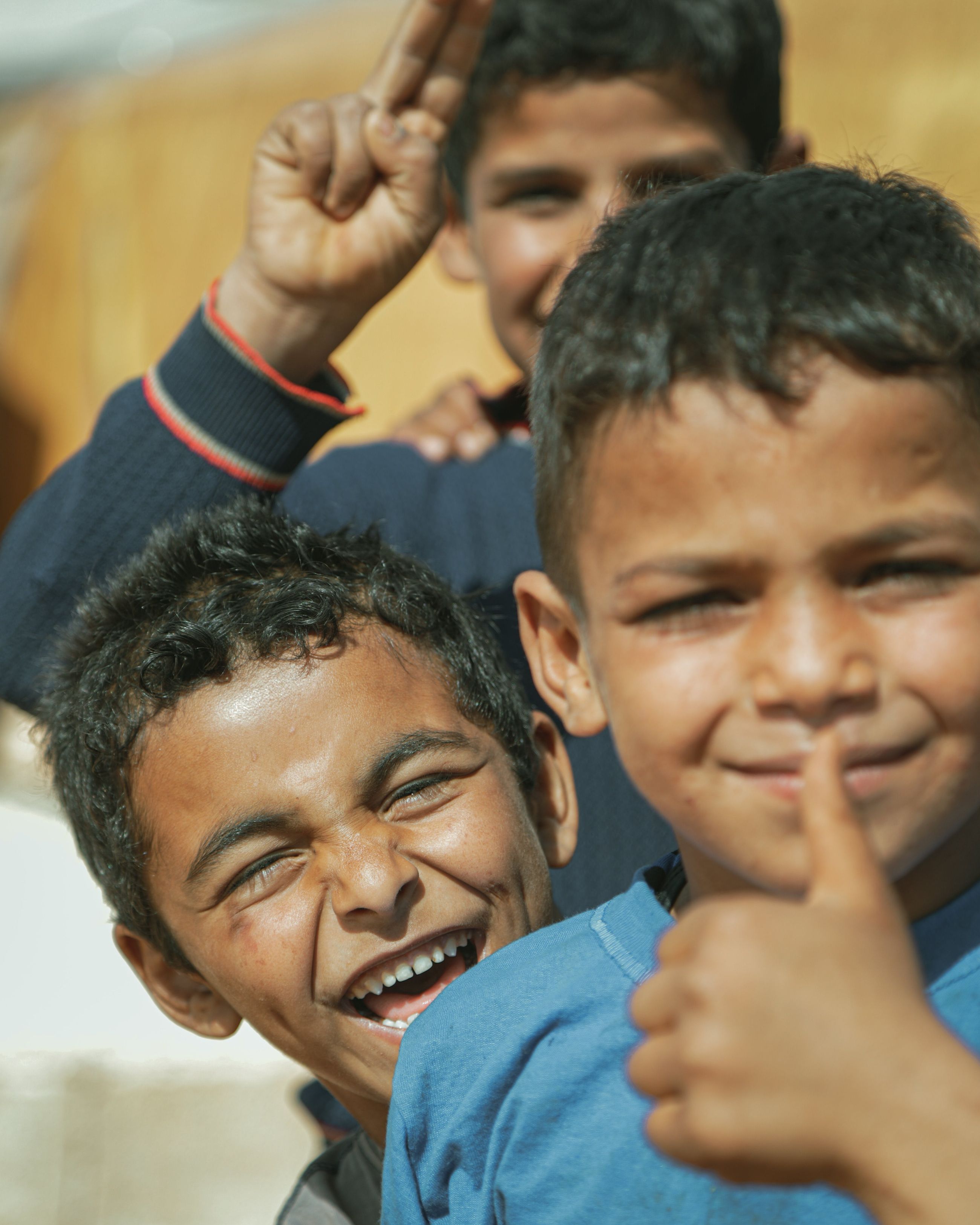 Mindset - Data, Insight, & Action