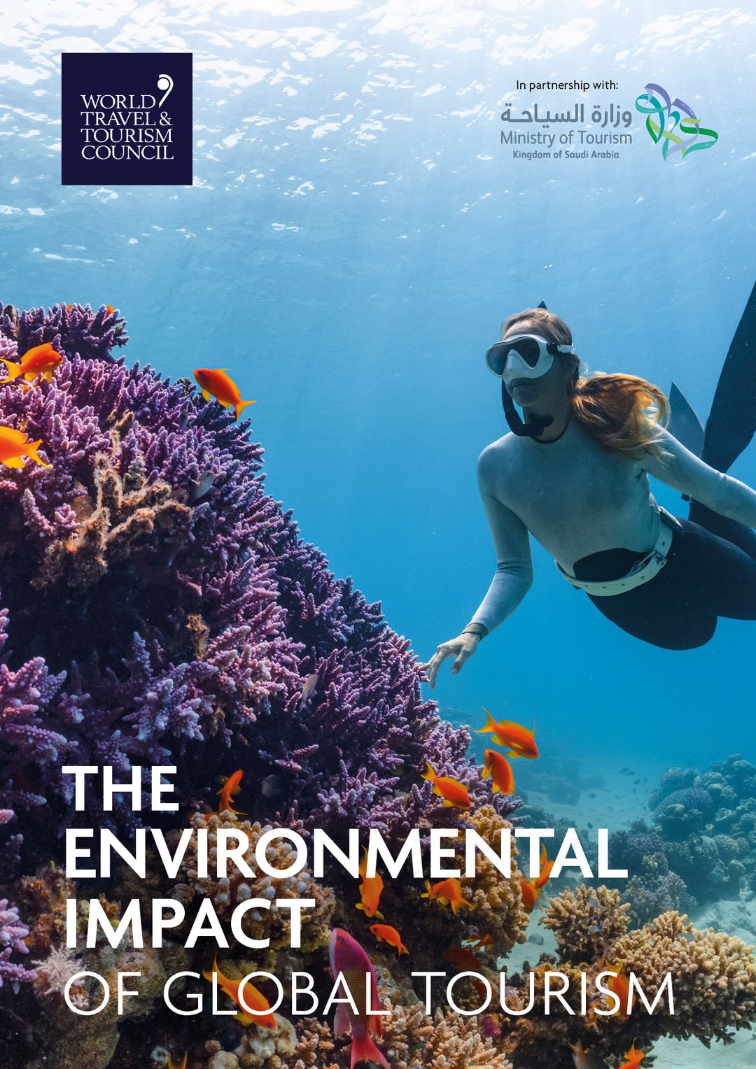 The Environmental Impact of Global Tourism Report | WTTC
