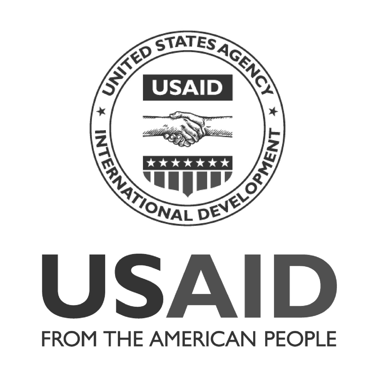 Mindset - Data, Insight, & Action