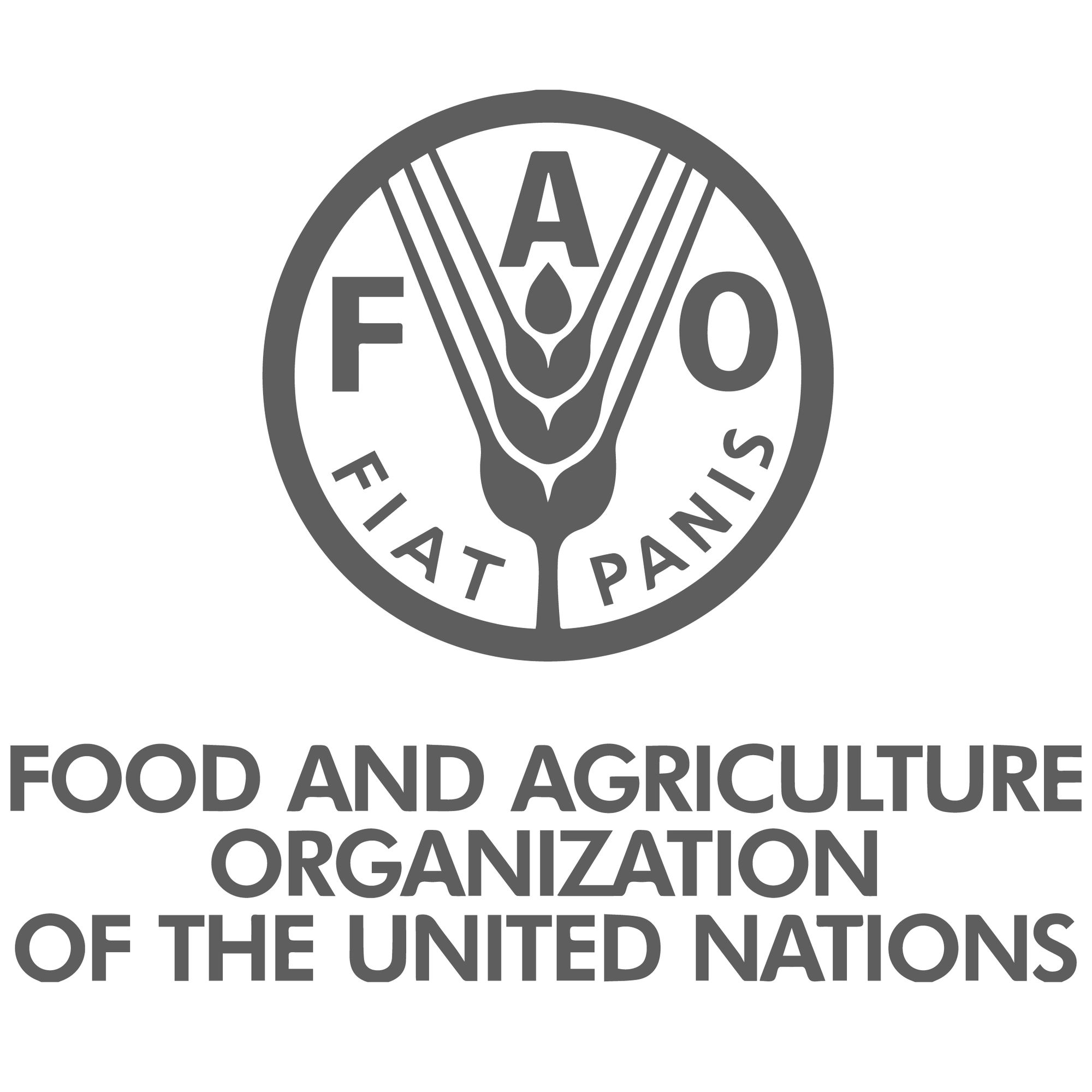 Mindset - Data, Insight, & Action