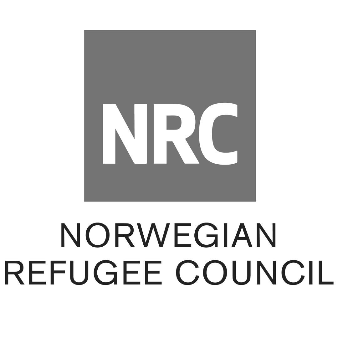 Mindset - Data, Insight, & Action