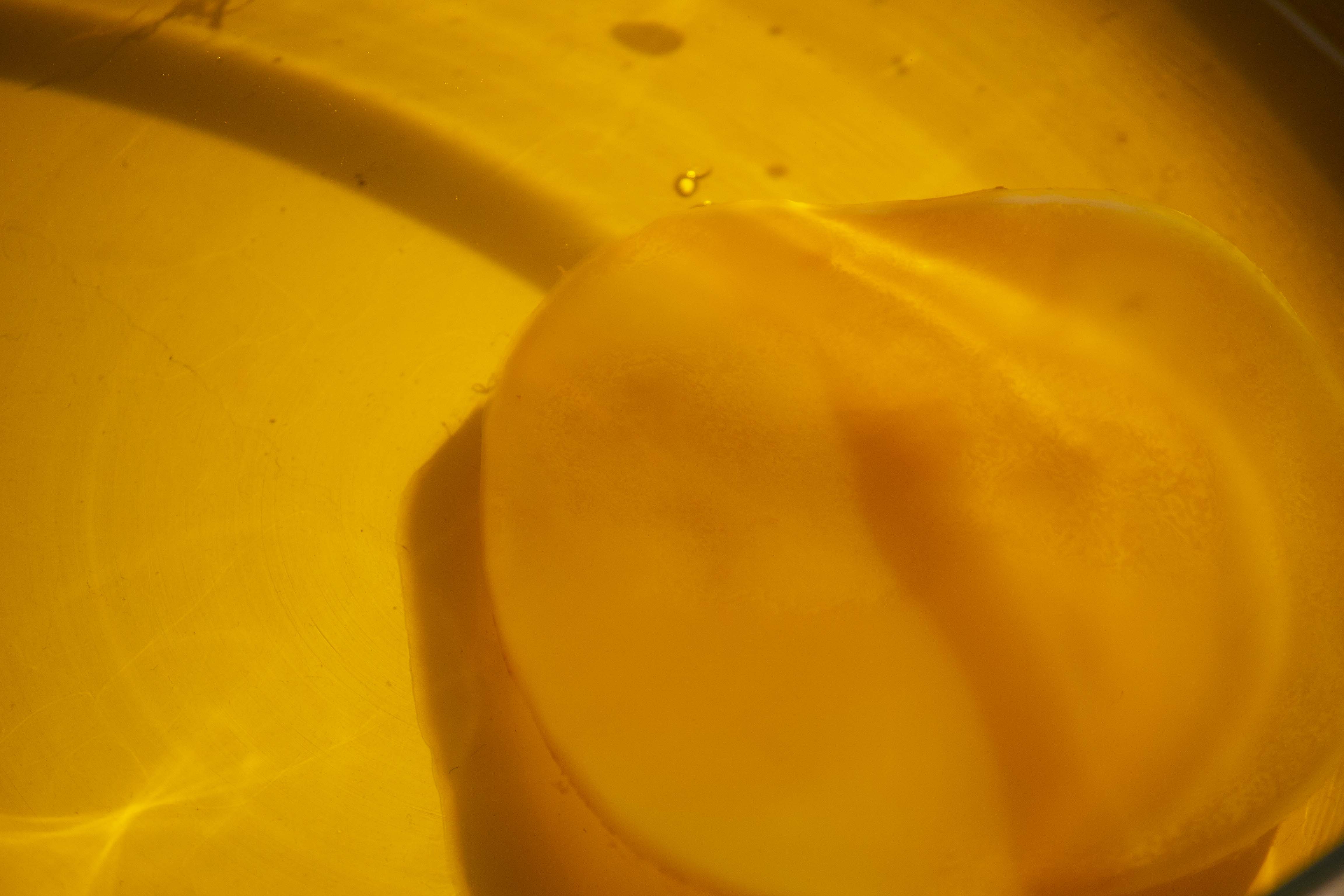 Bacterial Cellulose Recipe | Material Factors