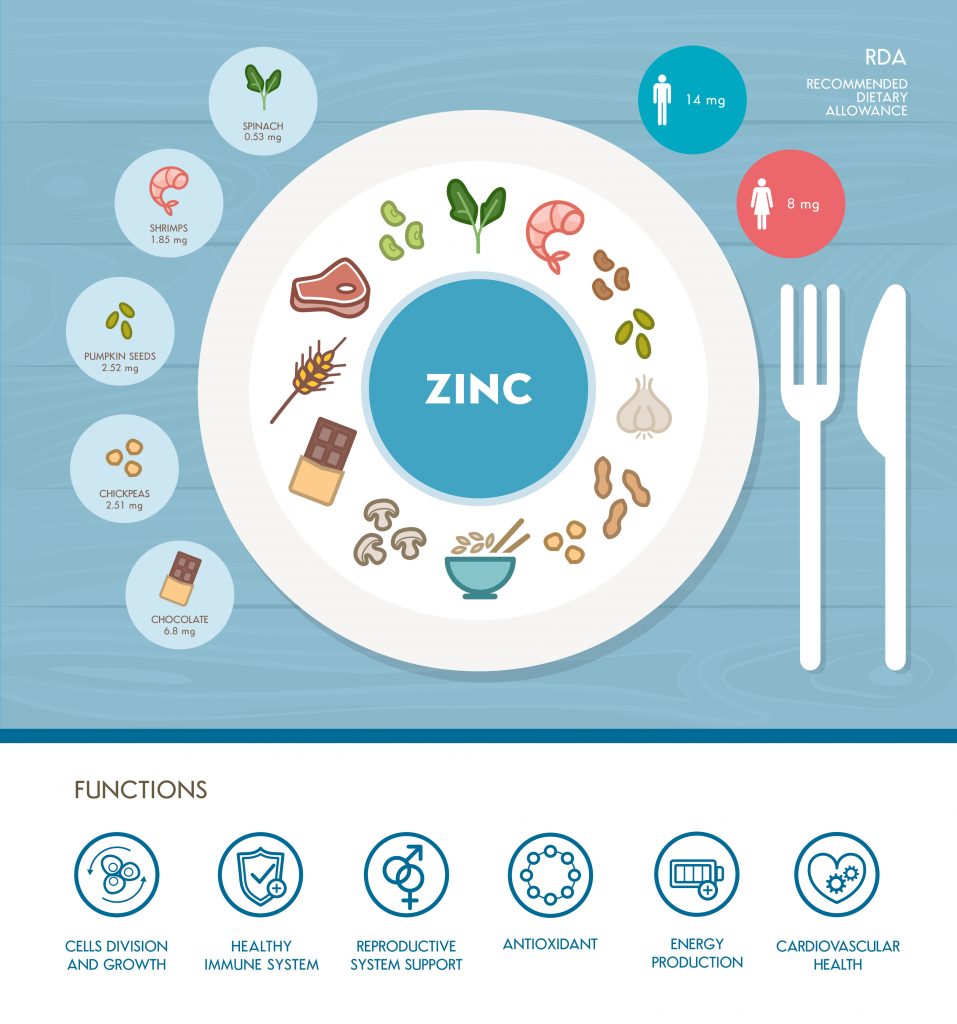 Zinc for Testosterone—How Much We Need, How to Get It
