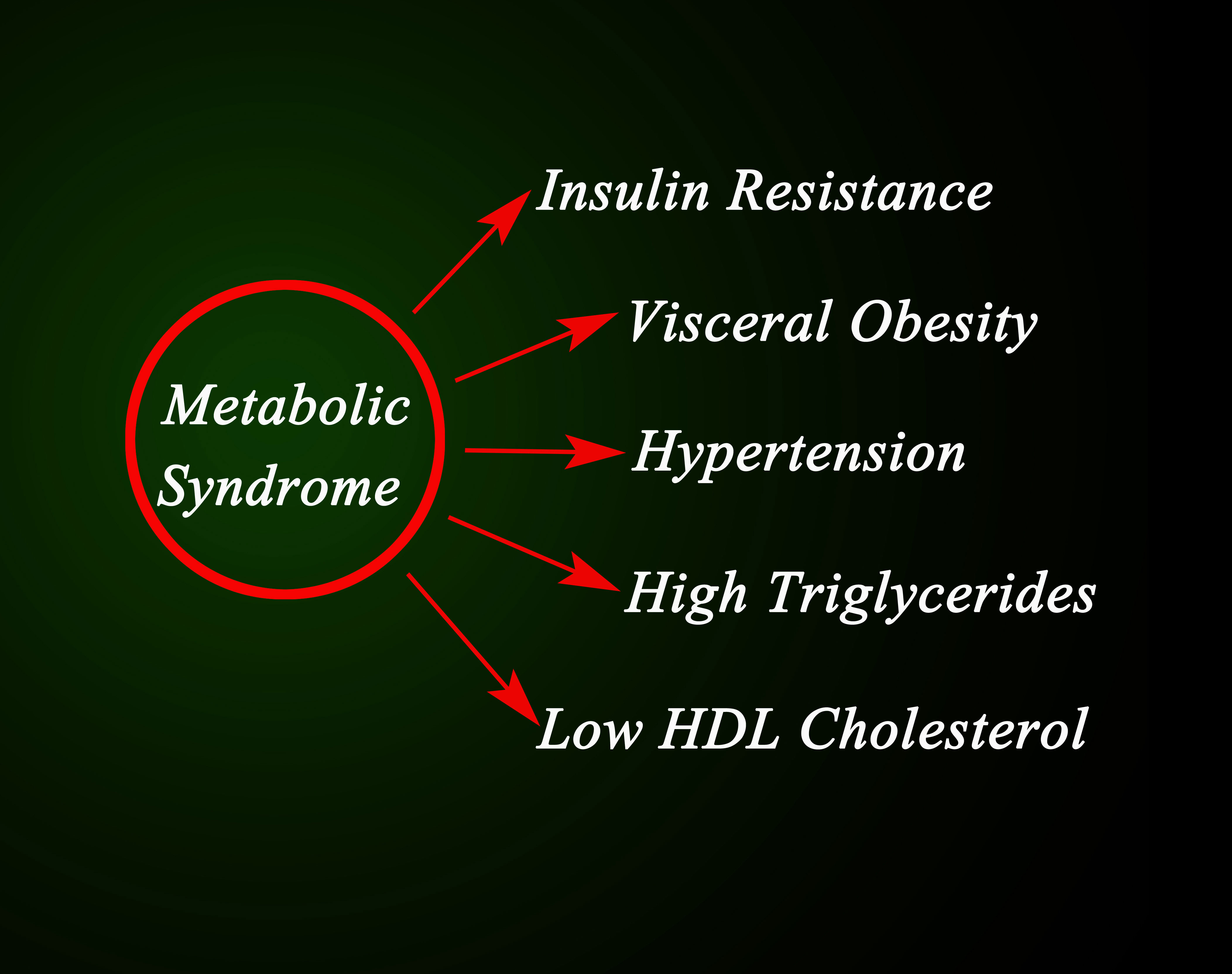Metabolic Syndrome - Symptoms, Risk Factors, Diagnosis, Treatment