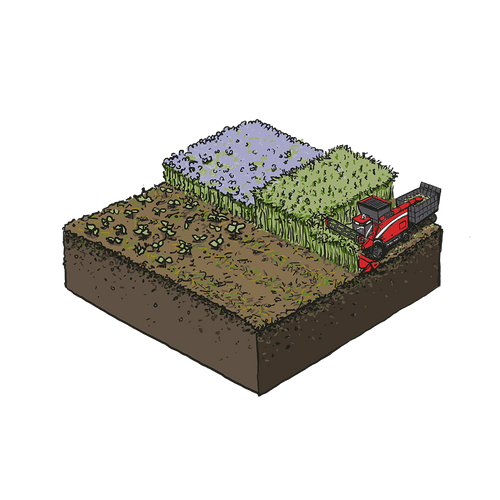 Bast Fibre Technologies — Technical Natural Fibre