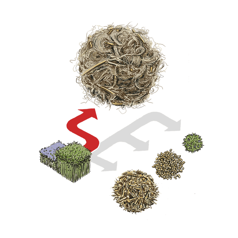 Bast Fibre Technologies — Technical Natural Fibre
