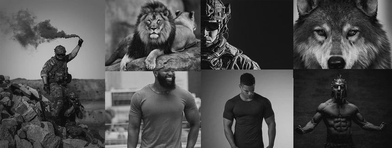 Alpha Premium