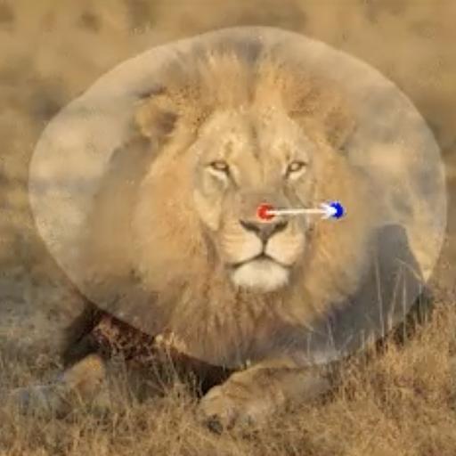 Unofficial Draggan Implementation Code For Zeqiang Lais Unofficial Paper Implementation
