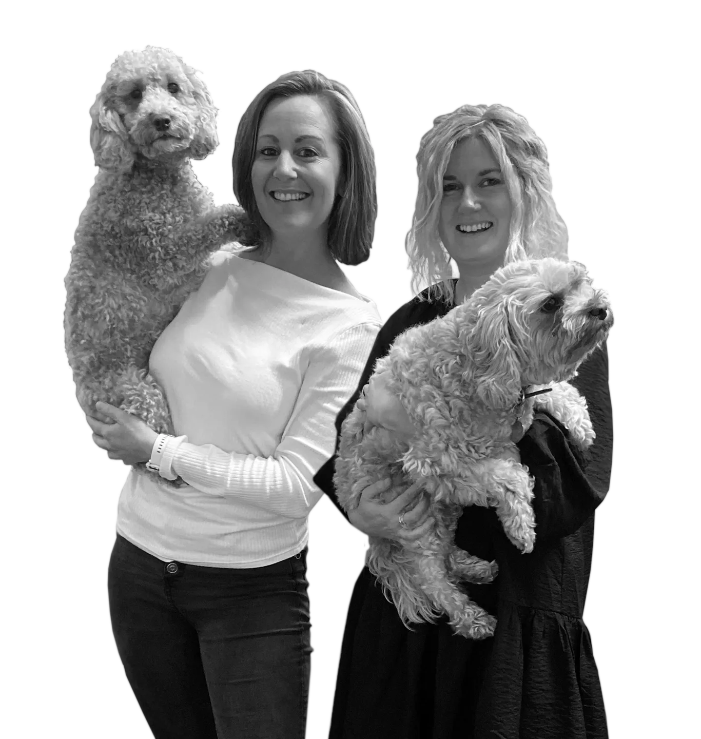 Home | Bespoke Windows & Doors | Hayley Windows