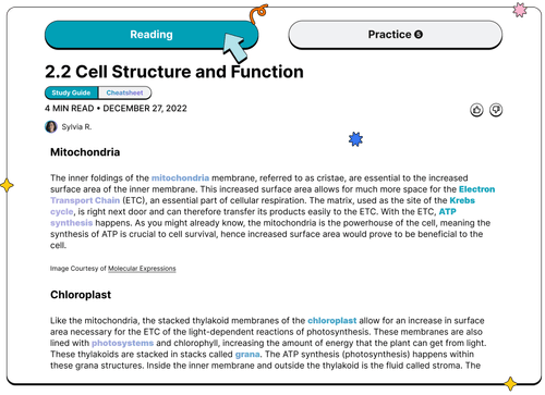 Fiveable: 2024 AP Review — Study Guides, Cheatsheets, Practice Questions