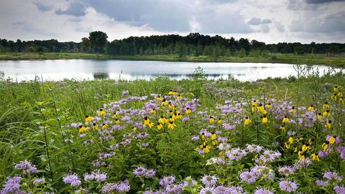 Spectra Gutter Systems Locations | Spectra Gutters