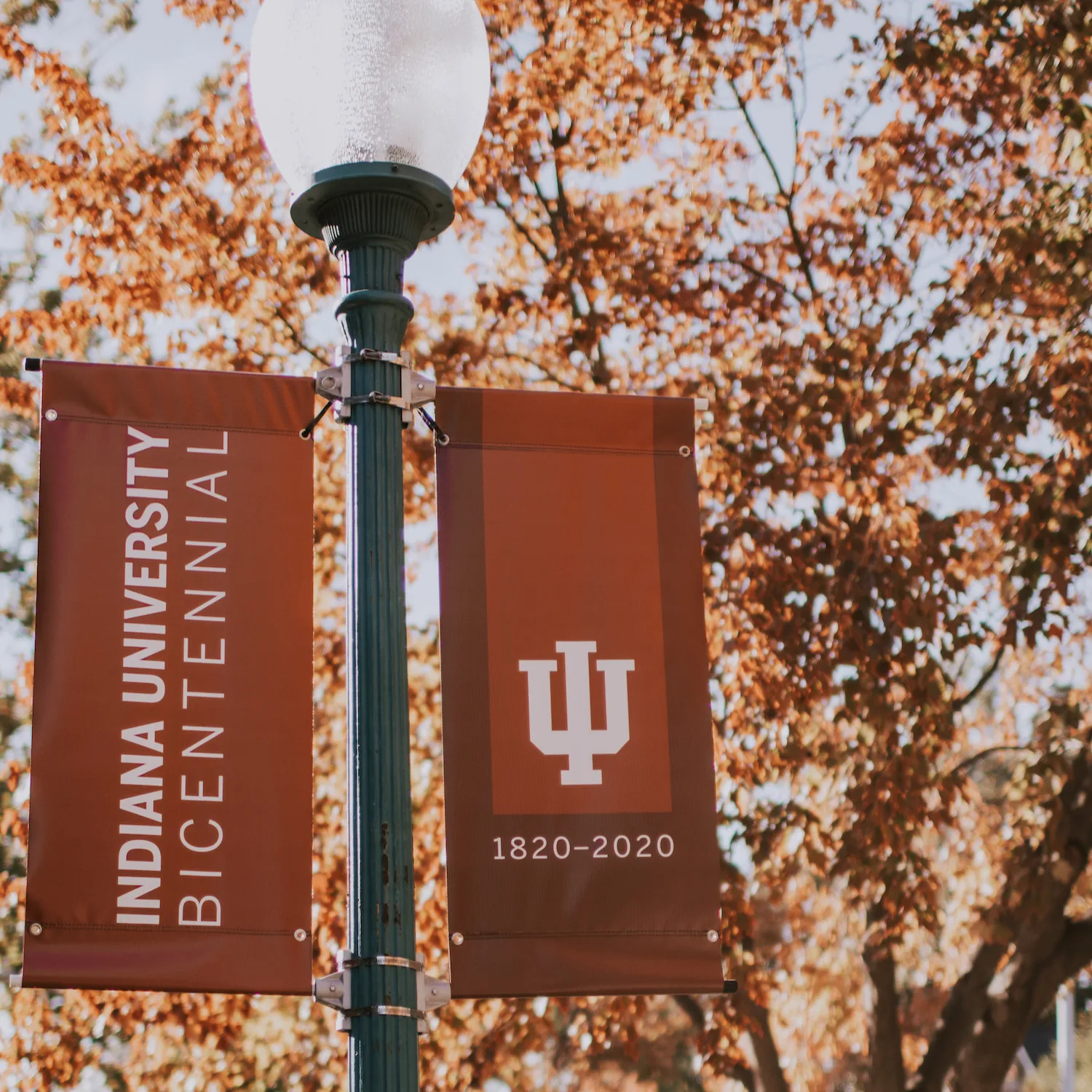 The Salt Network | Reaching the Next Generation