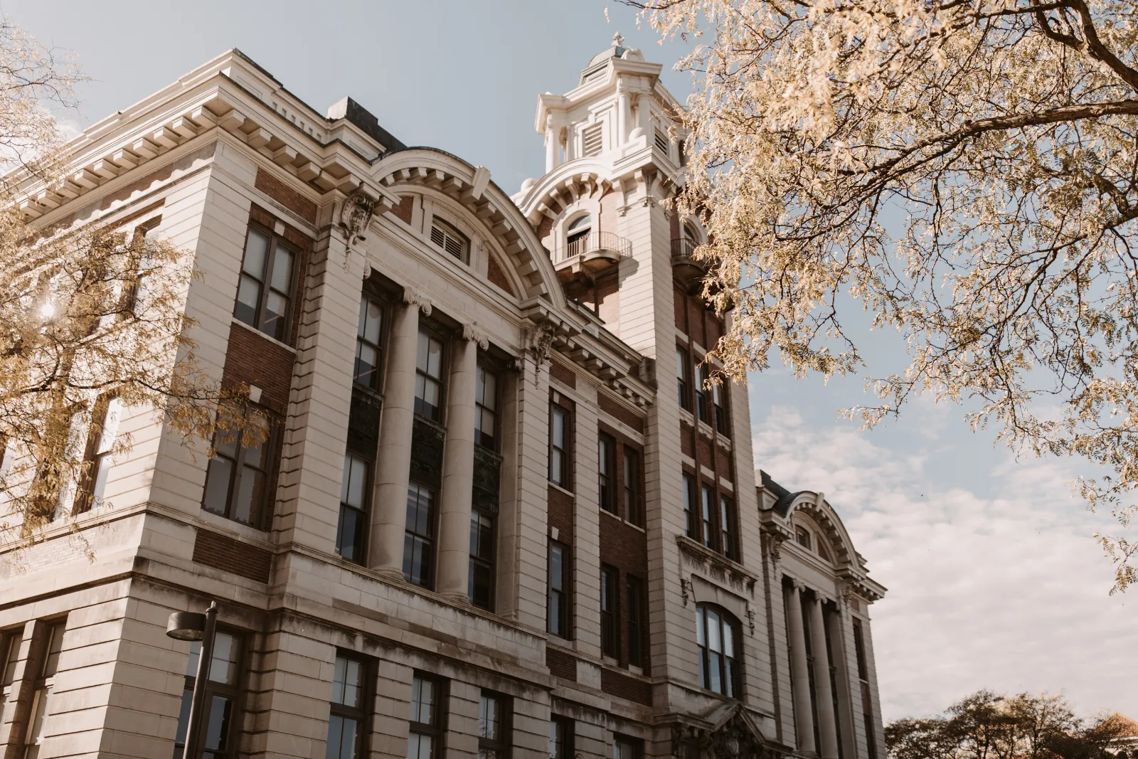 About | The Salt Network