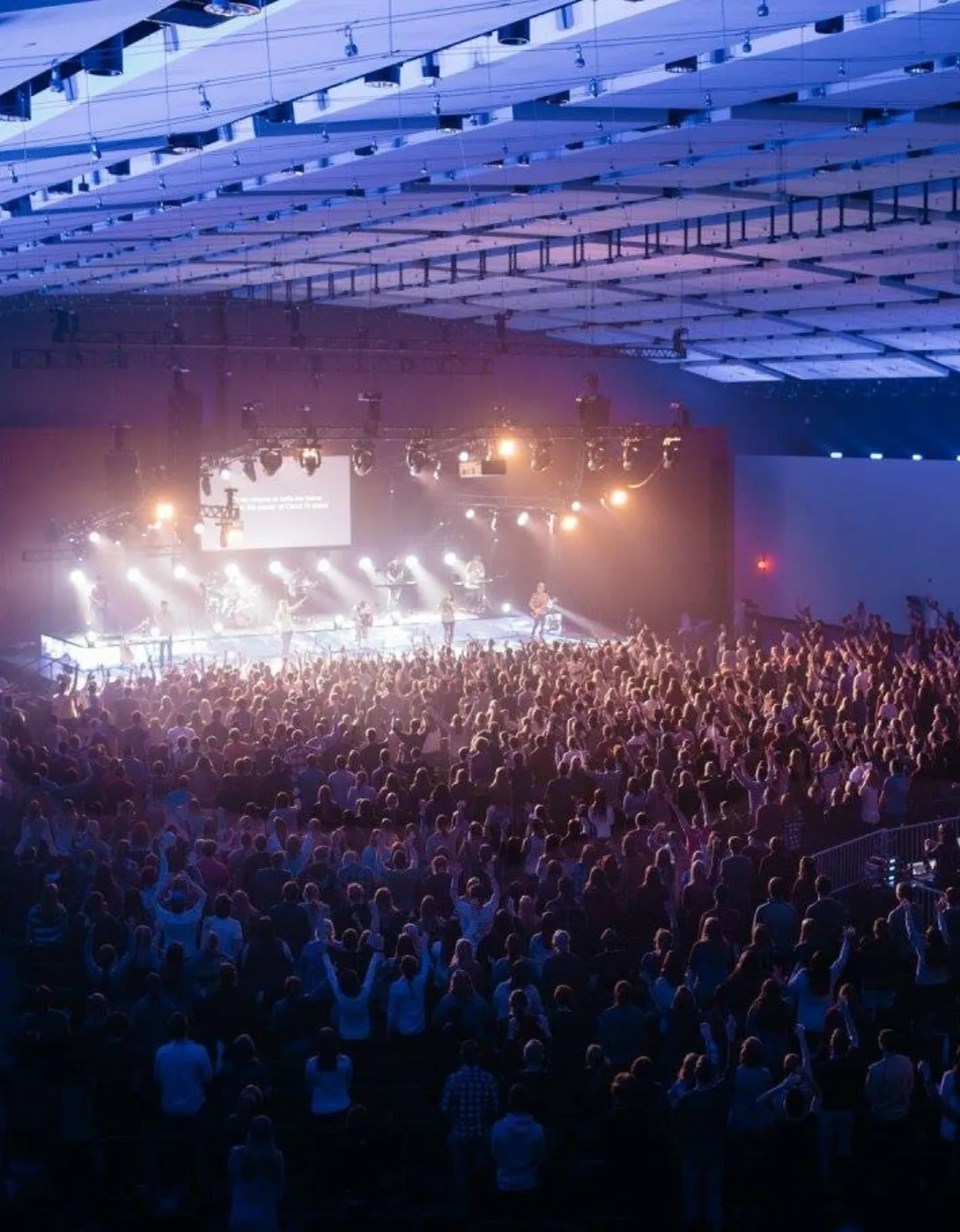 About | The Salt Network