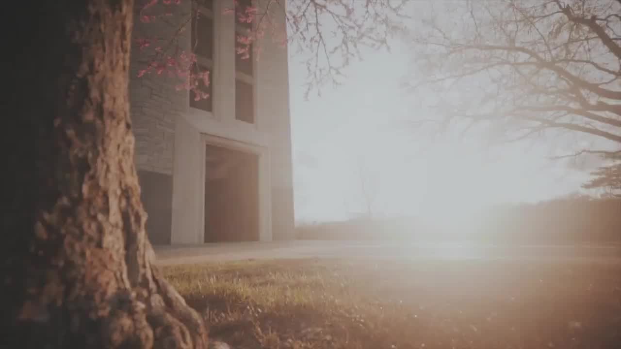 The Salt Network | Reaching the Next Generation