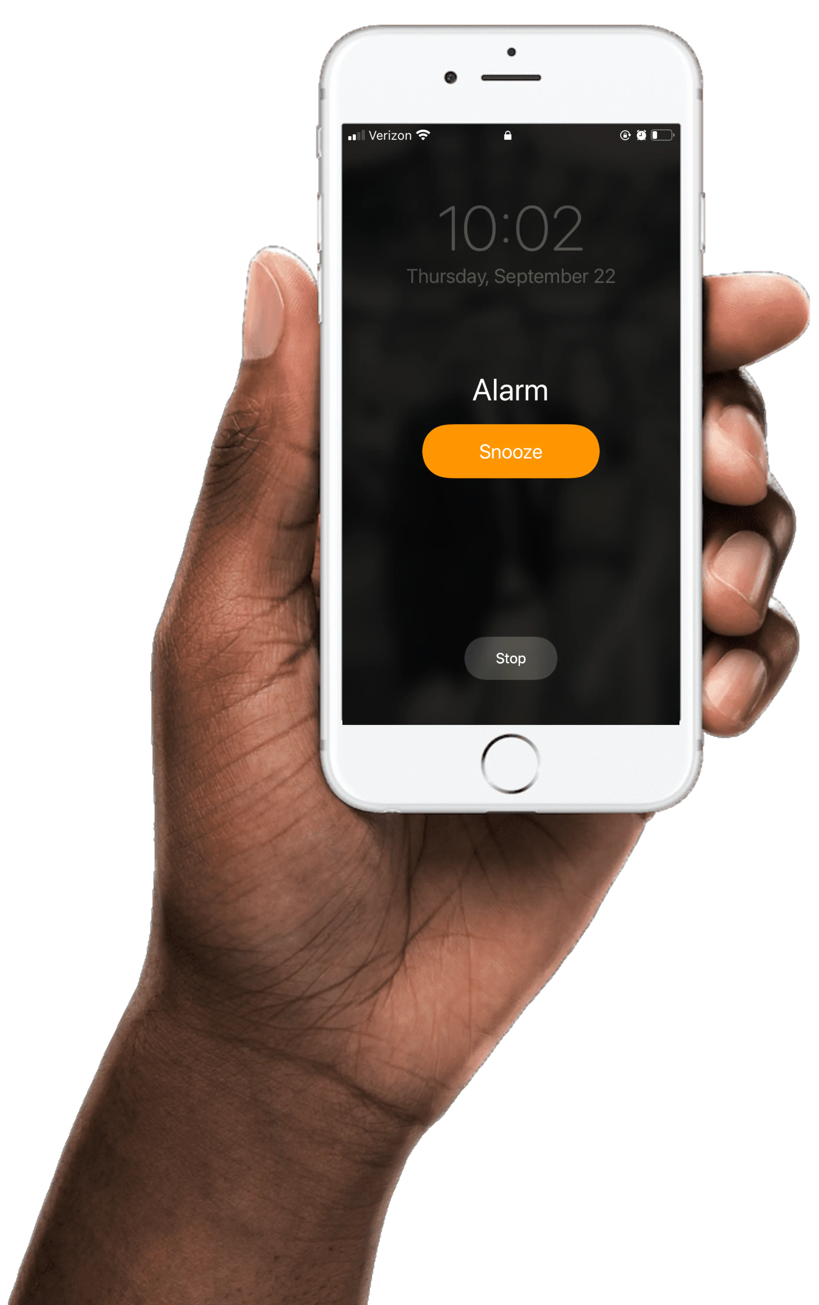 The Salt Network | Reaching the Next Generation