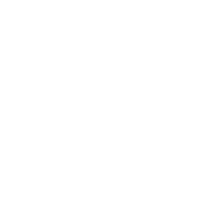 The Salt Company Brand Guidelines