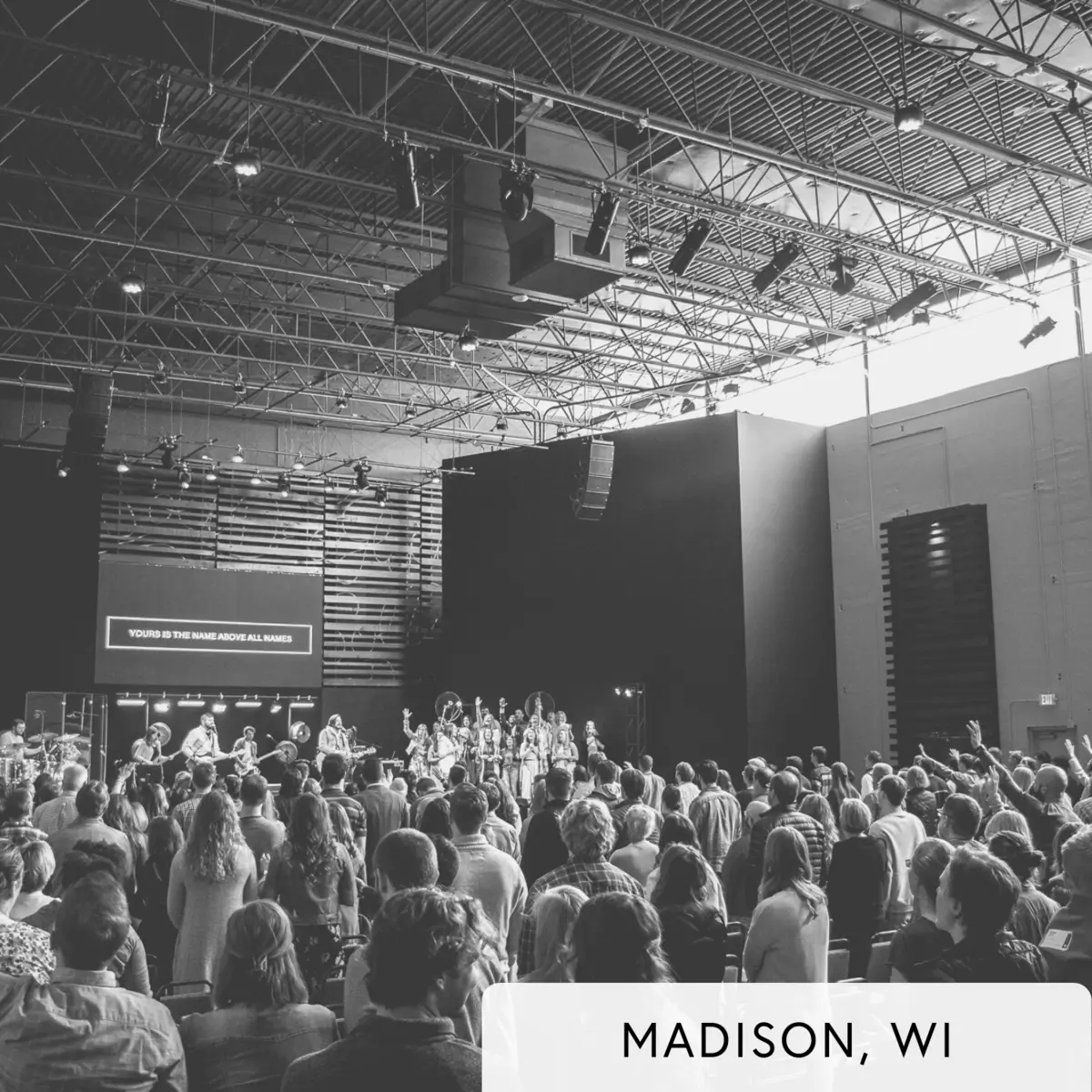 Plants | The Salt Network