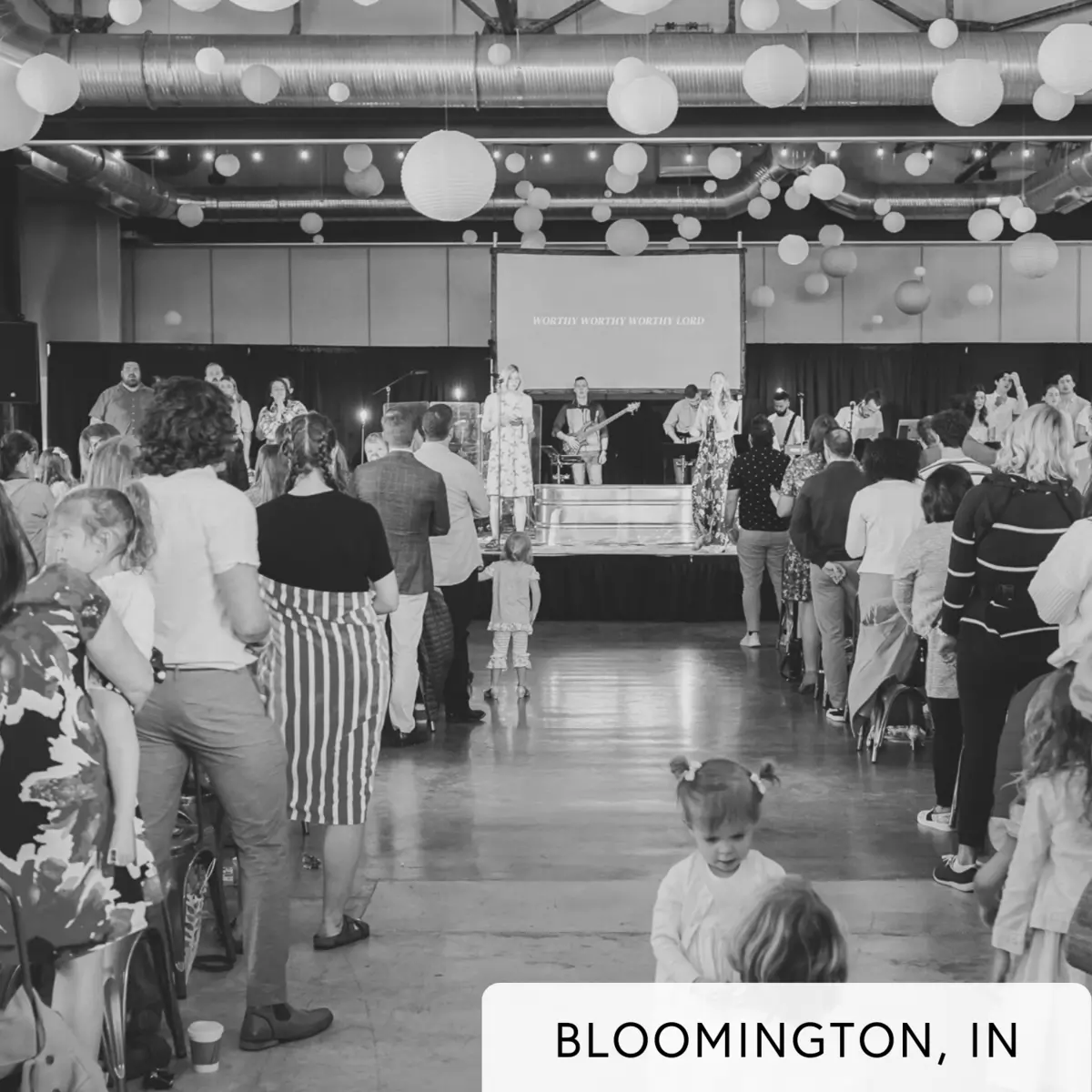 Plants | The Salt Network