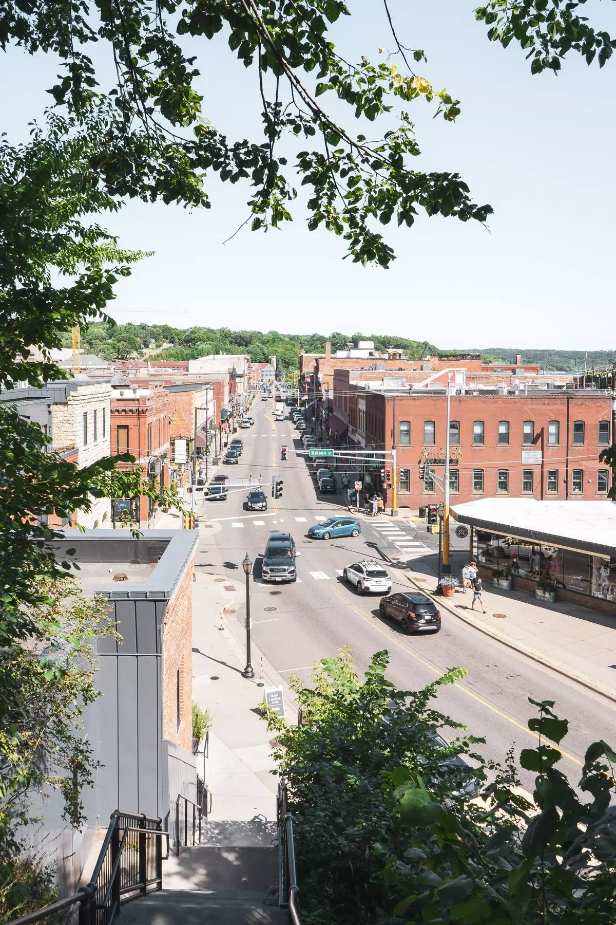 Plants | The Salt Network