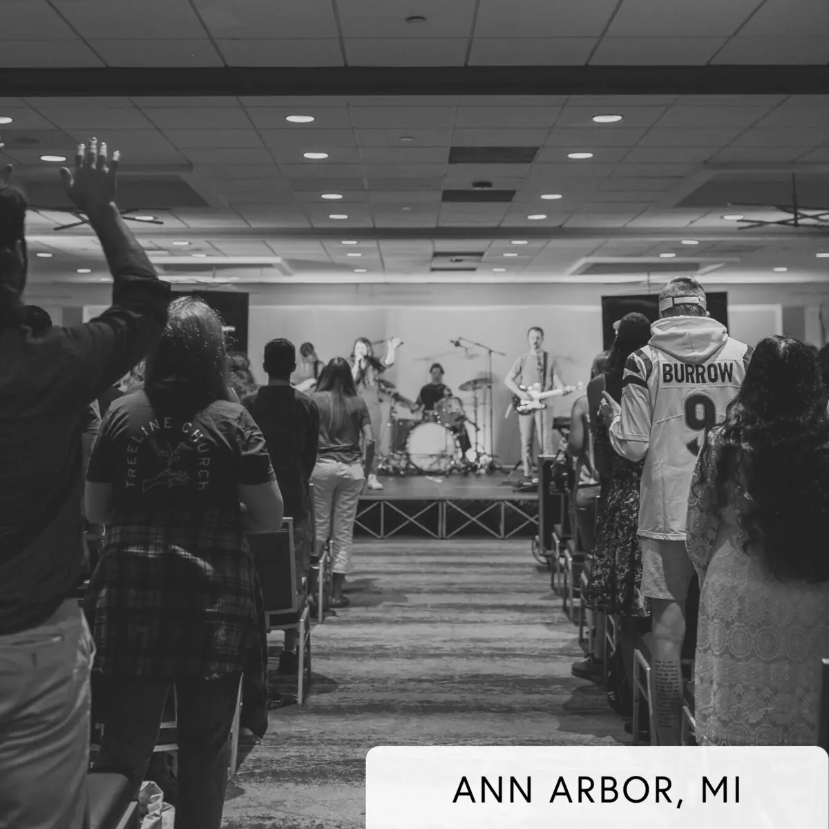 Plants | The Salt Network