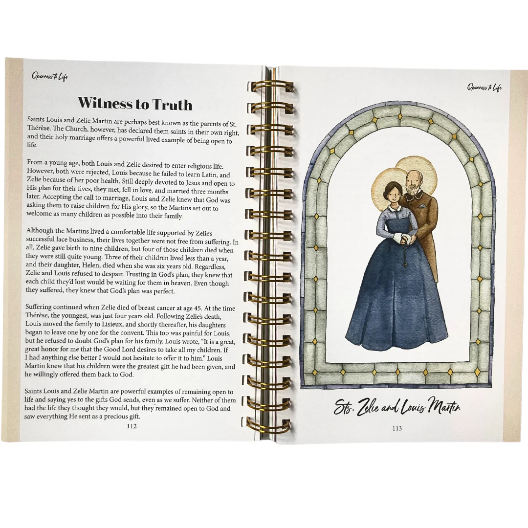 Catholic Social Teaching for Youth | Shop