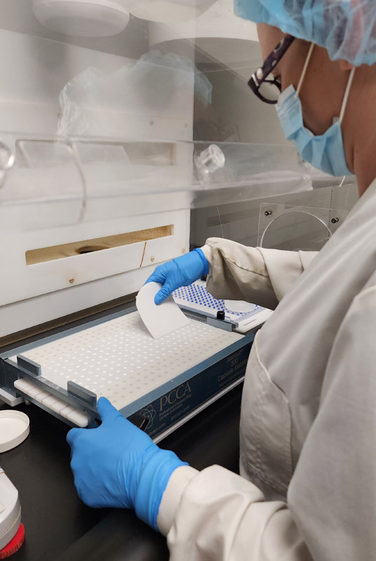 Hallandale Beach, FL's Compounding Pharmacy of Choice | Bayview Pharmacy